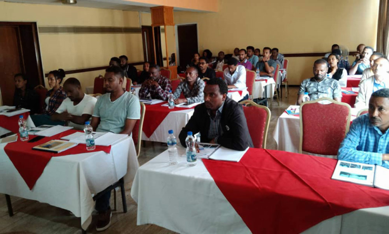 Project: Developing a Comprehensive Road Safety Framework in Ethiopia - sweroad.se